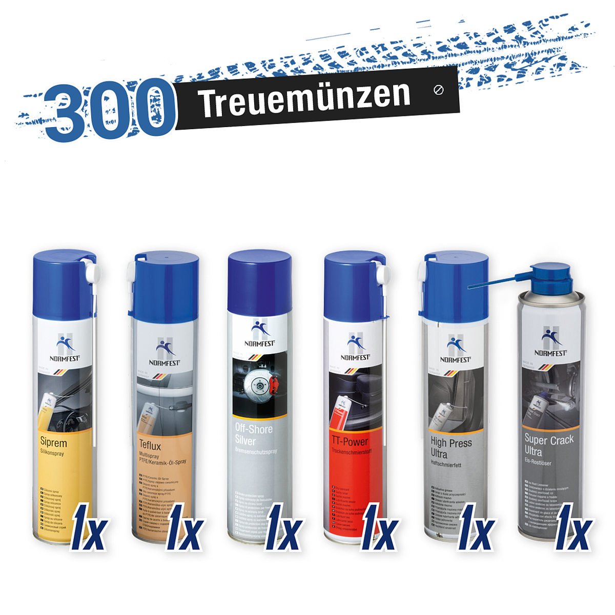 Starterset "Inspektion und Wartung"