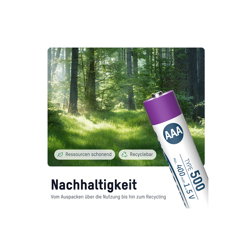 Li-Ion Akkus Micro AAA